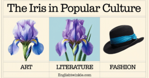 What’s the Plural of Iris? Explaination with Examples - English Twinkle