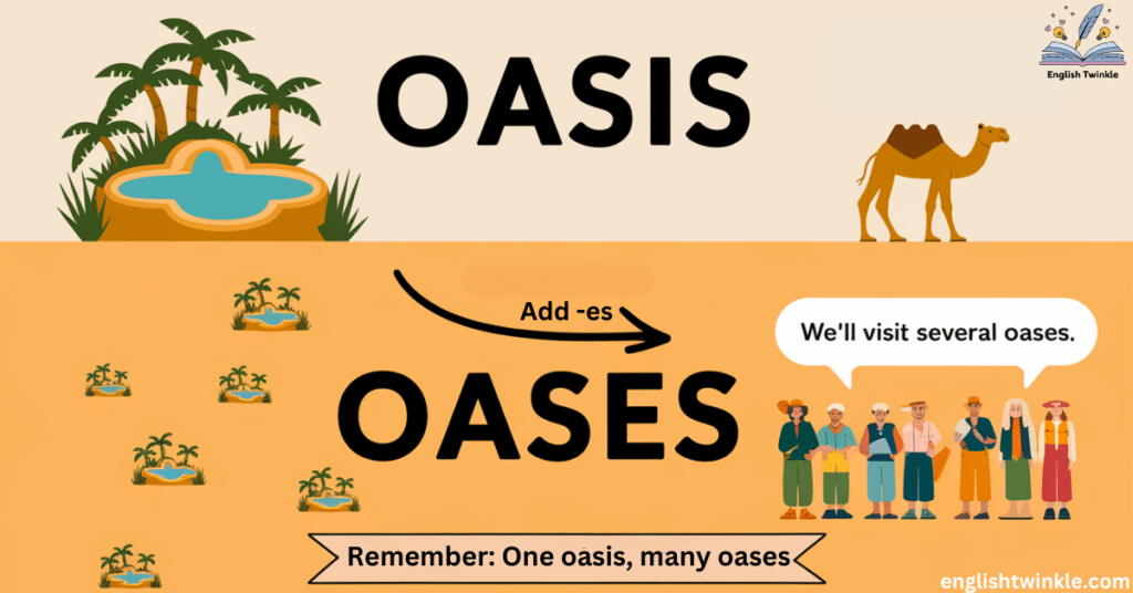 What is the plural of oasis?: Unravelling the Mystery - English Twinkle