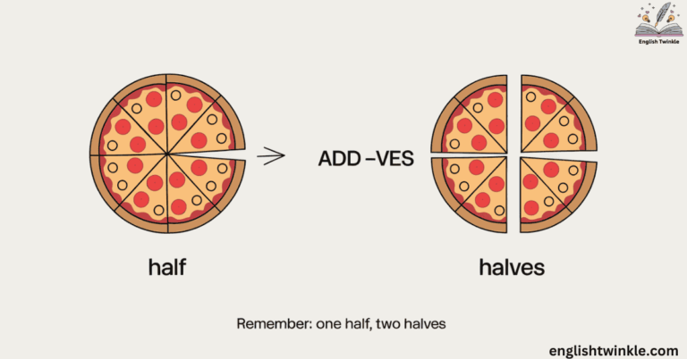 What’s the Plural of Half? Understanding Singular and Plural Nouns ...