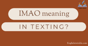 IMAO Meaning: Understanding the Internet's Slang - English Twinkle
