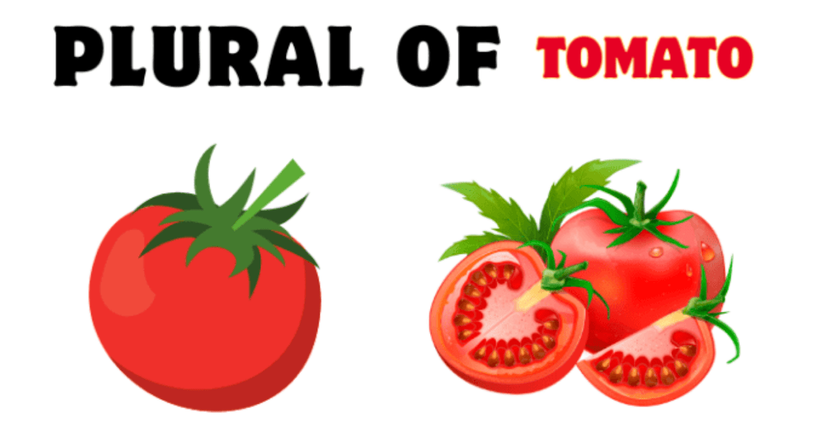 What Is the Plural of Tomato? A Closer Look - English Twinkle